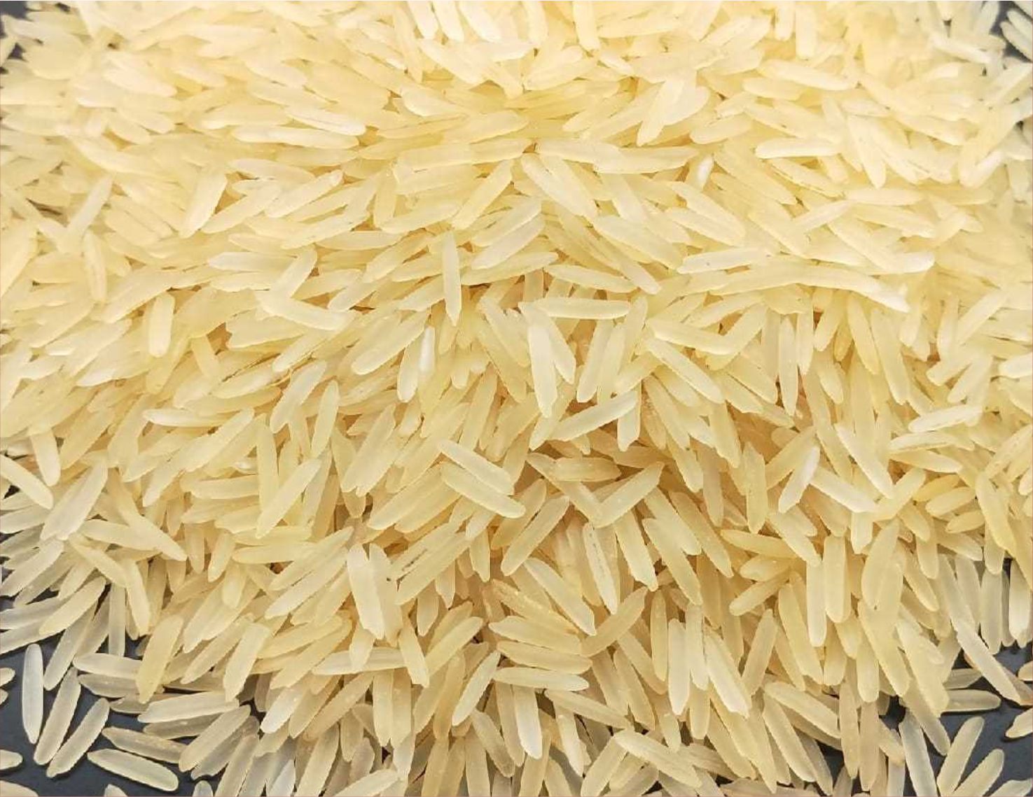 Buy Grain rice Online at the Best Wholesale Price from Trusted Sellers ...